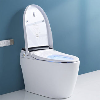 Elongated One-Piece Floor Mounted Smart Toilet with Built-in Water Tan