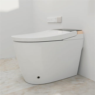 Elongated One Piece Smart Toilet with Bidet Built in, Heated Seat ...