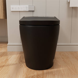 Elongated One Piece Smart Toilet with Bidet Built in, Heated Seat
