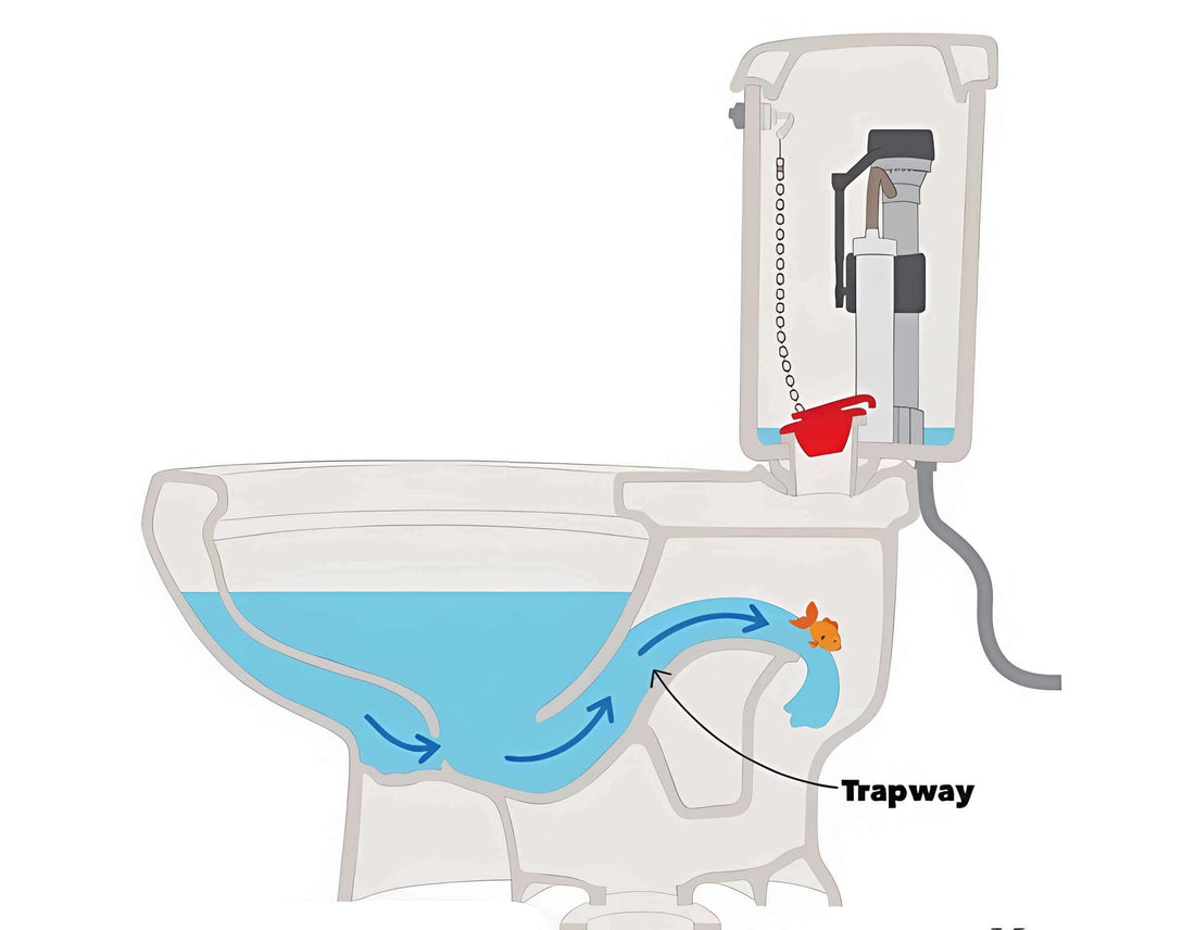 What is the Siphon in a Toilet, and Do I Need One - Giving Tree