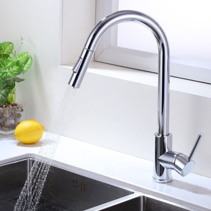 Kitchen Sink Faucet with Pull-out Flushing 360° Swivel Spout – Giving Tree